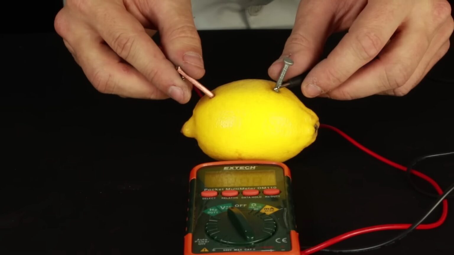 How to Make Lemon Battery Science Fair Project - Harnessing the Energy